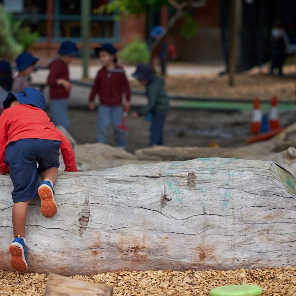 Employment Opportunities | Gowrie SA